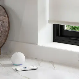 Home - IV Window Covering