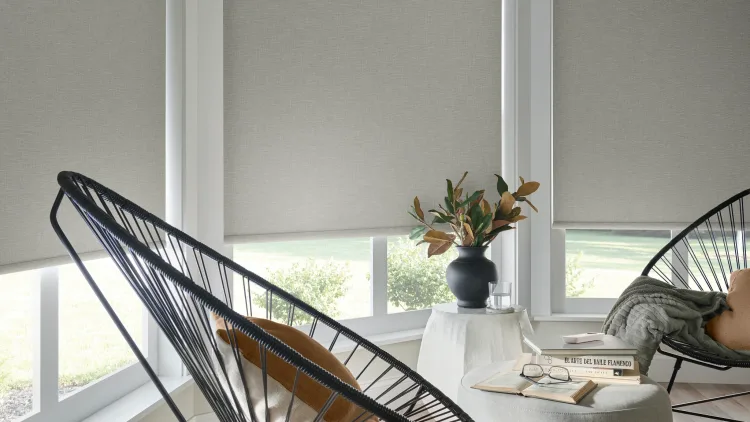 ROLLER SHADES - IV Window Covering