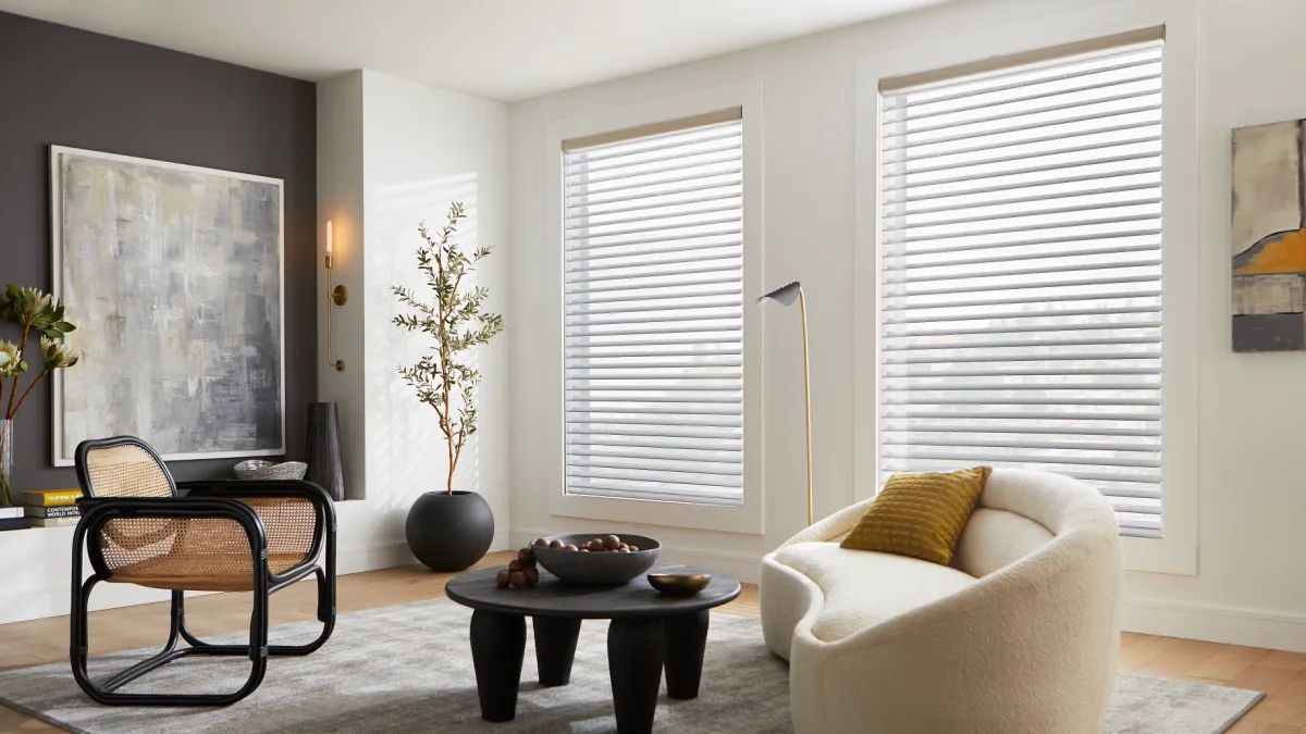 SHEER SHADINGS - IV Window Covering